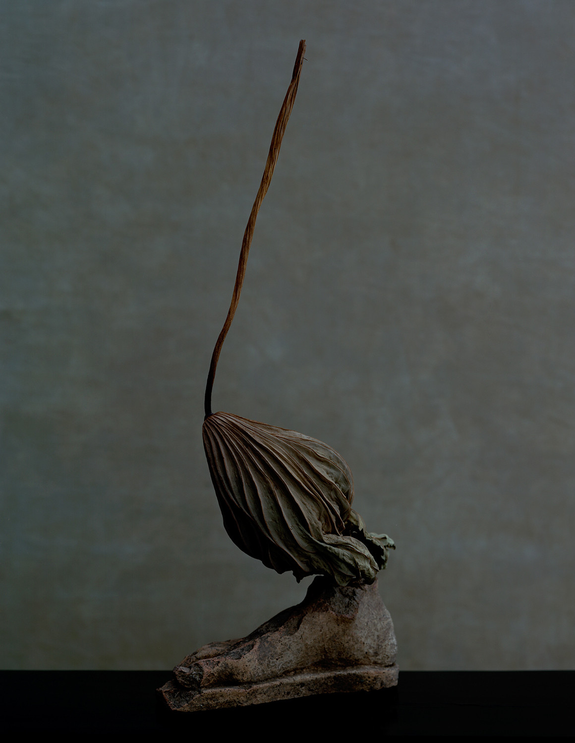 SHIZUMARU | soloexhibitions | information - YOSHIHIKO UEDA | 上田義彦