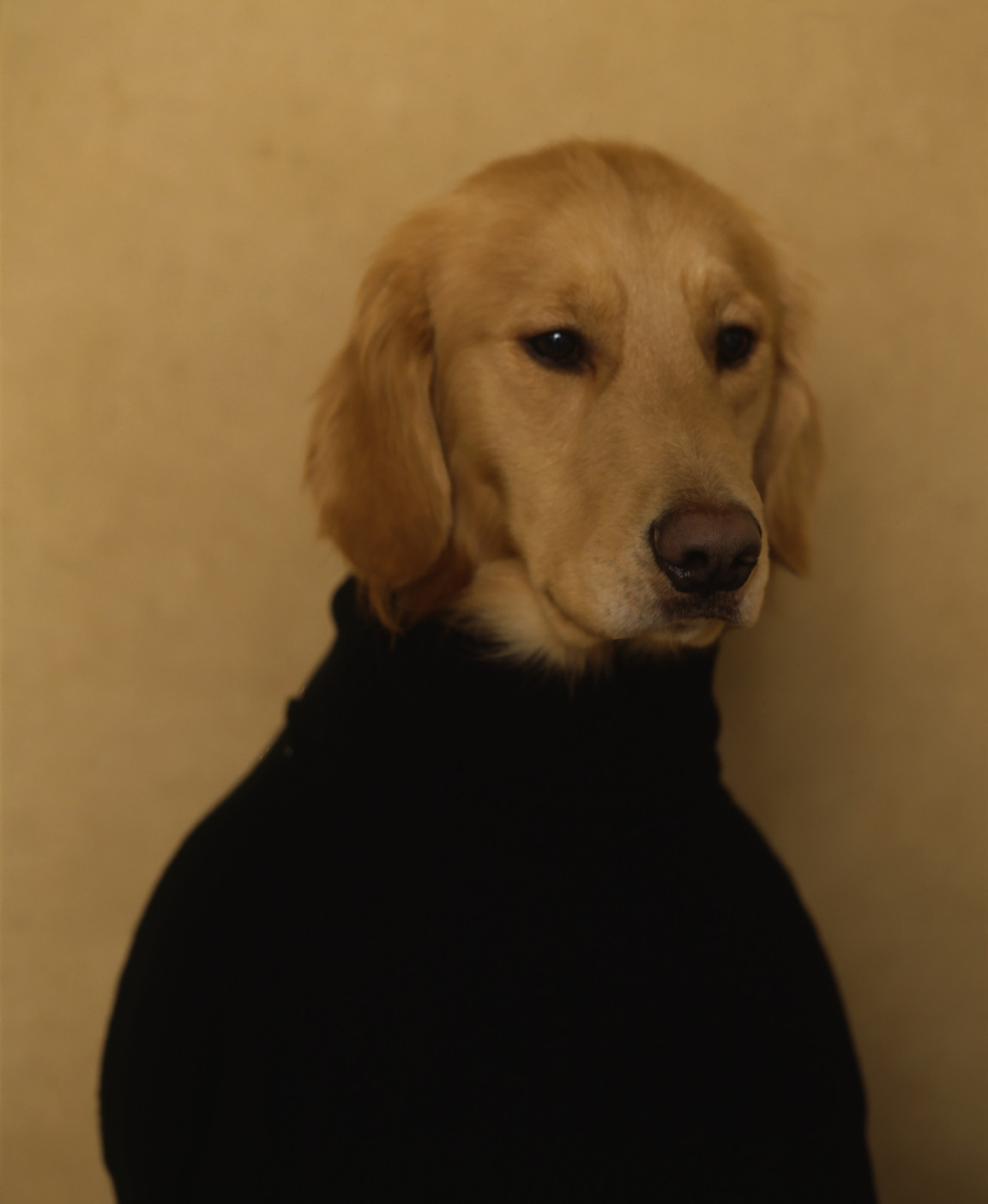 Works 1986 | portfolio - YOSHIHIKO UEDA | 上田義彦