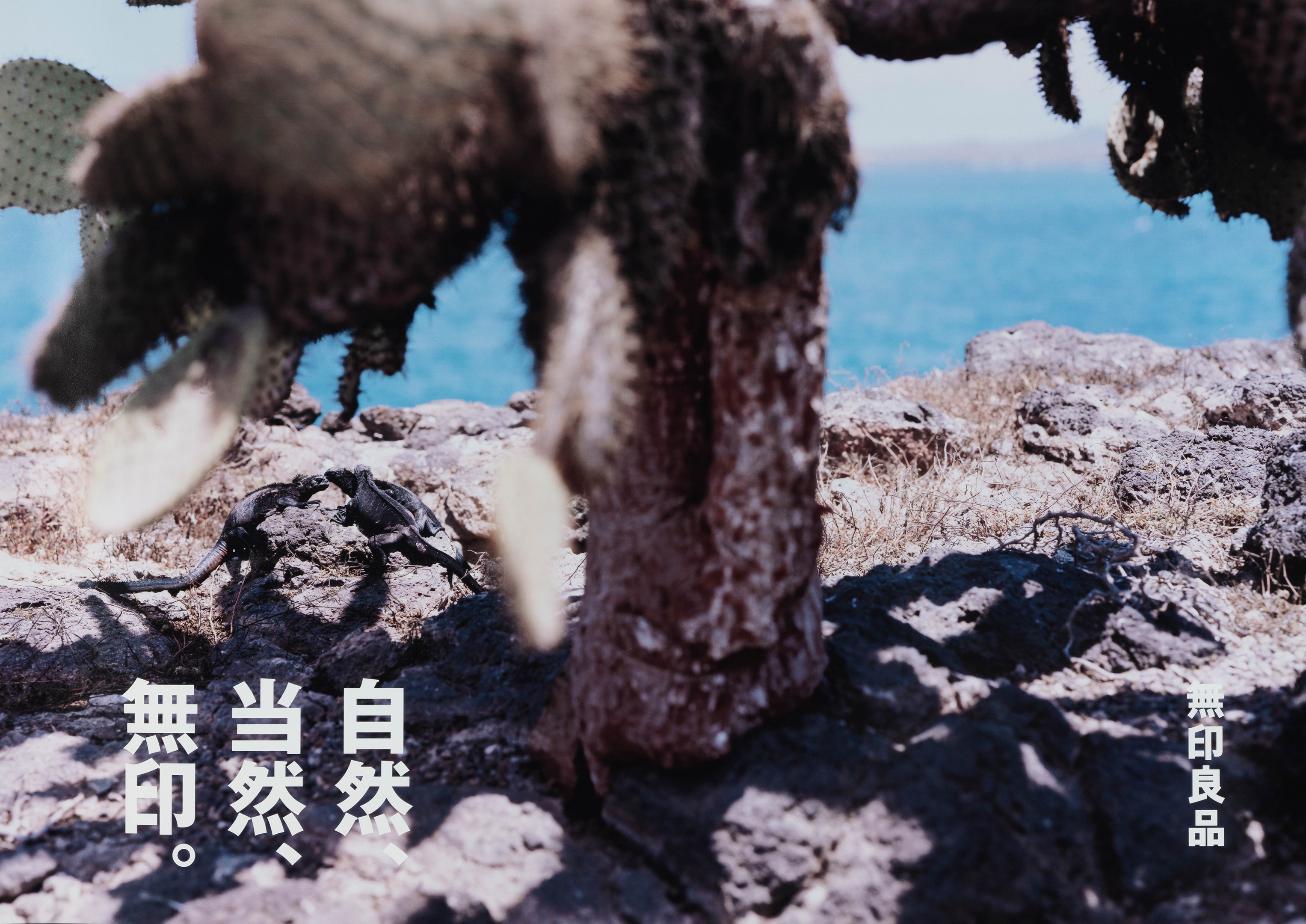 Works 2018 | portfolio - YOSHIHIKO UEDA | 上田義彦