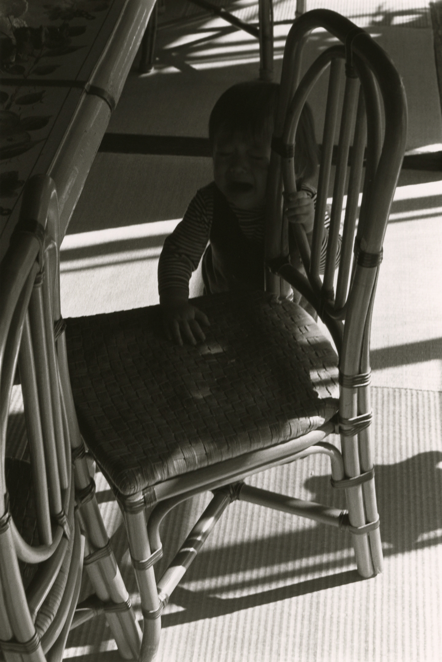 at Home | portfolio - YOSHIHIKO UEDA | 上田義彦