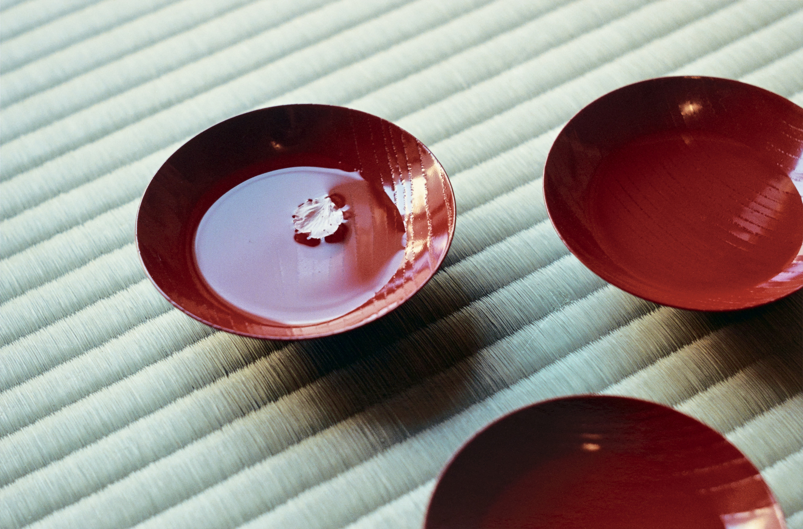 The Seasonal Beauty of Japanese Cuisine | portfolio - YOSHIHIKO UEDA | 上田義彦