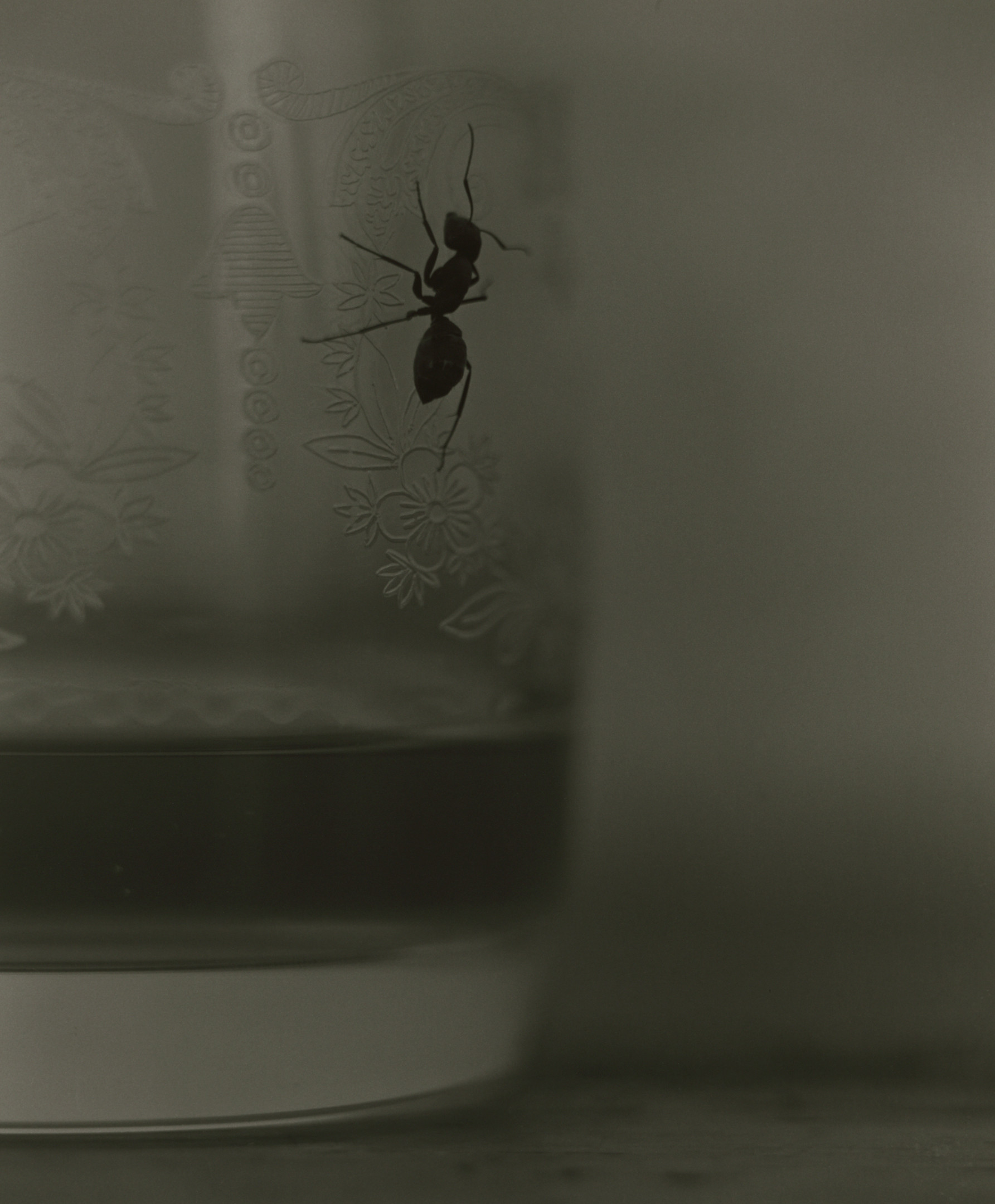 1986 | portfolio - YOSHIHIKO UEDA | 上田義彦