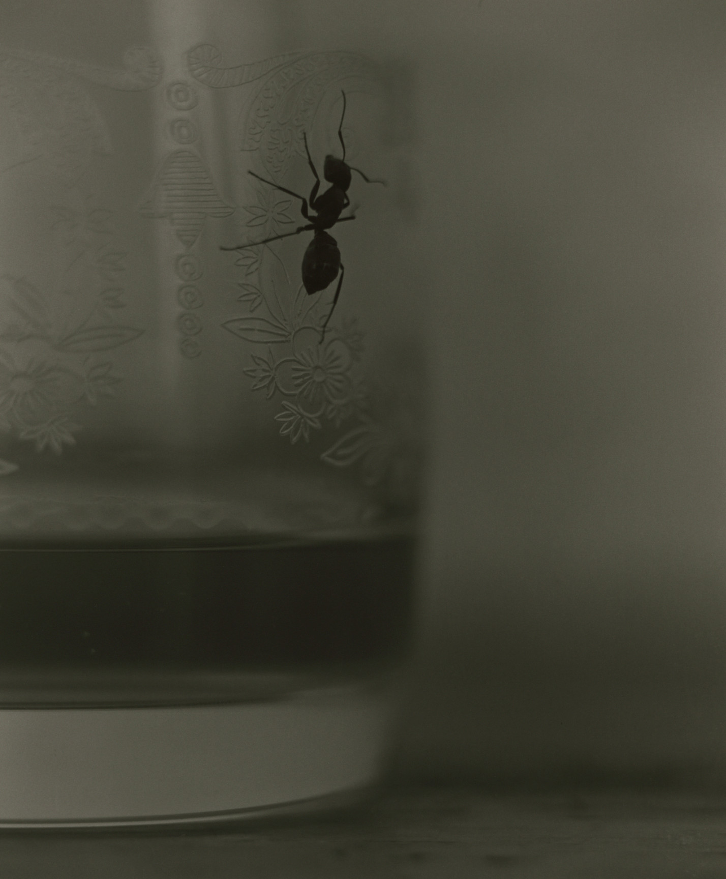 1986 | portfolio - YOSHIHIKO UEDA | 上田義彦