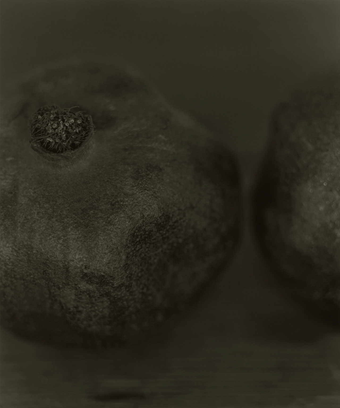 1986 | portfolio - YOSHIHIKO UEDA | 上田義彦