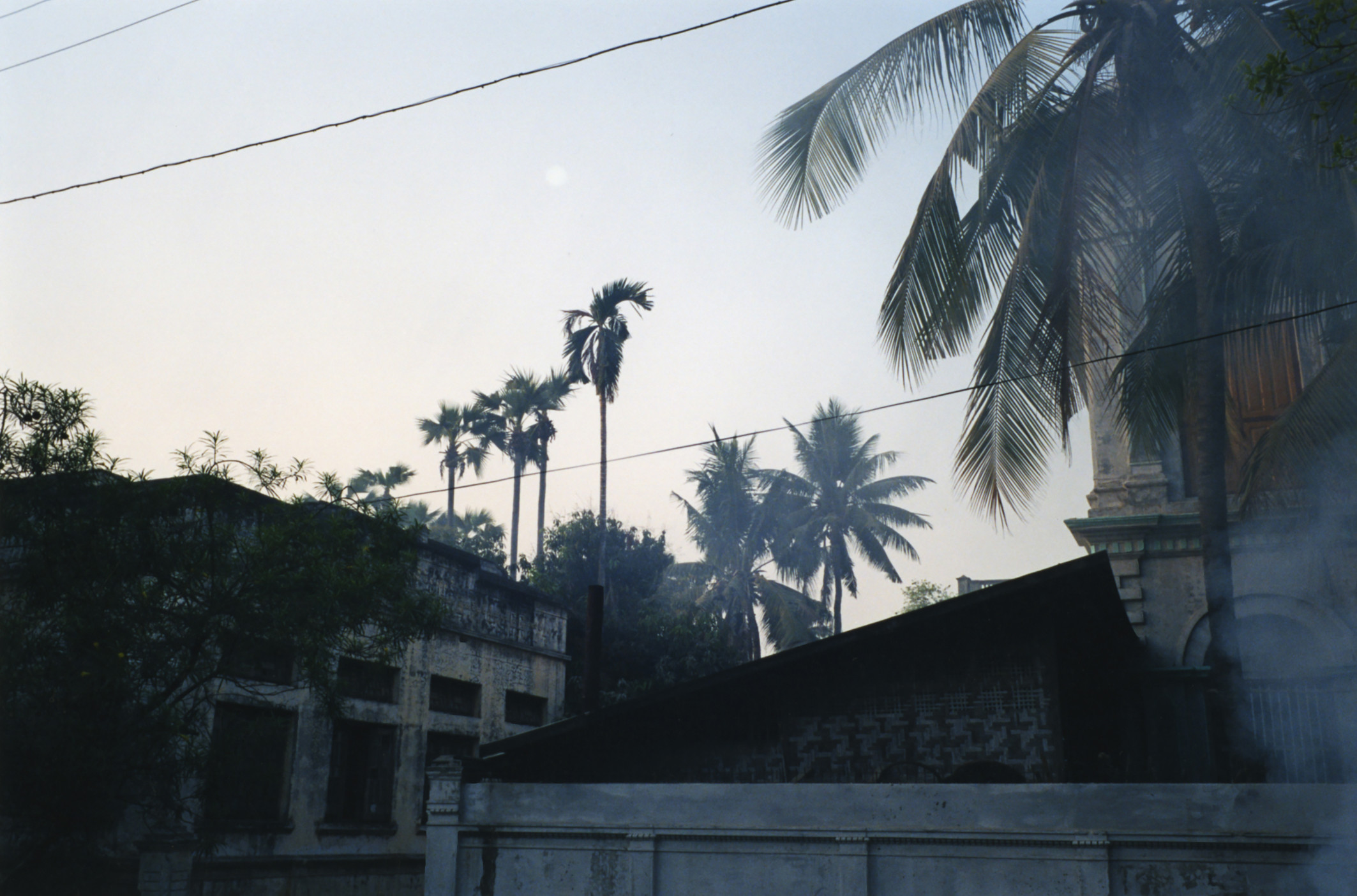 YUME | portfolio - YOSHIHIKO UEDA | 上田義彦